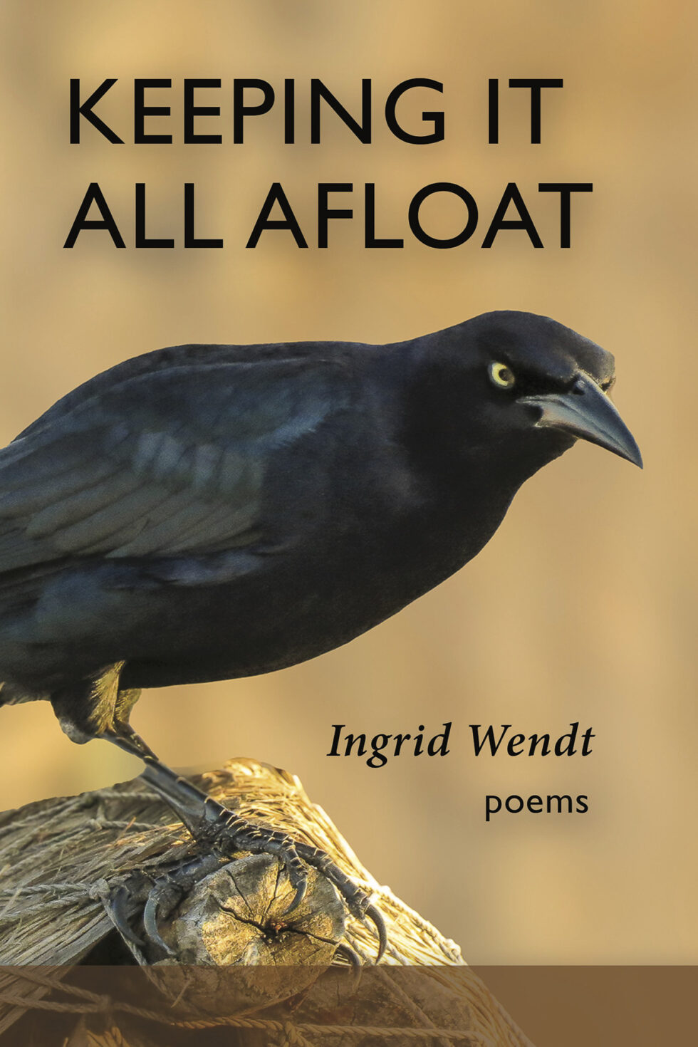 Keeping It All Afloat | Ingrid Wendt